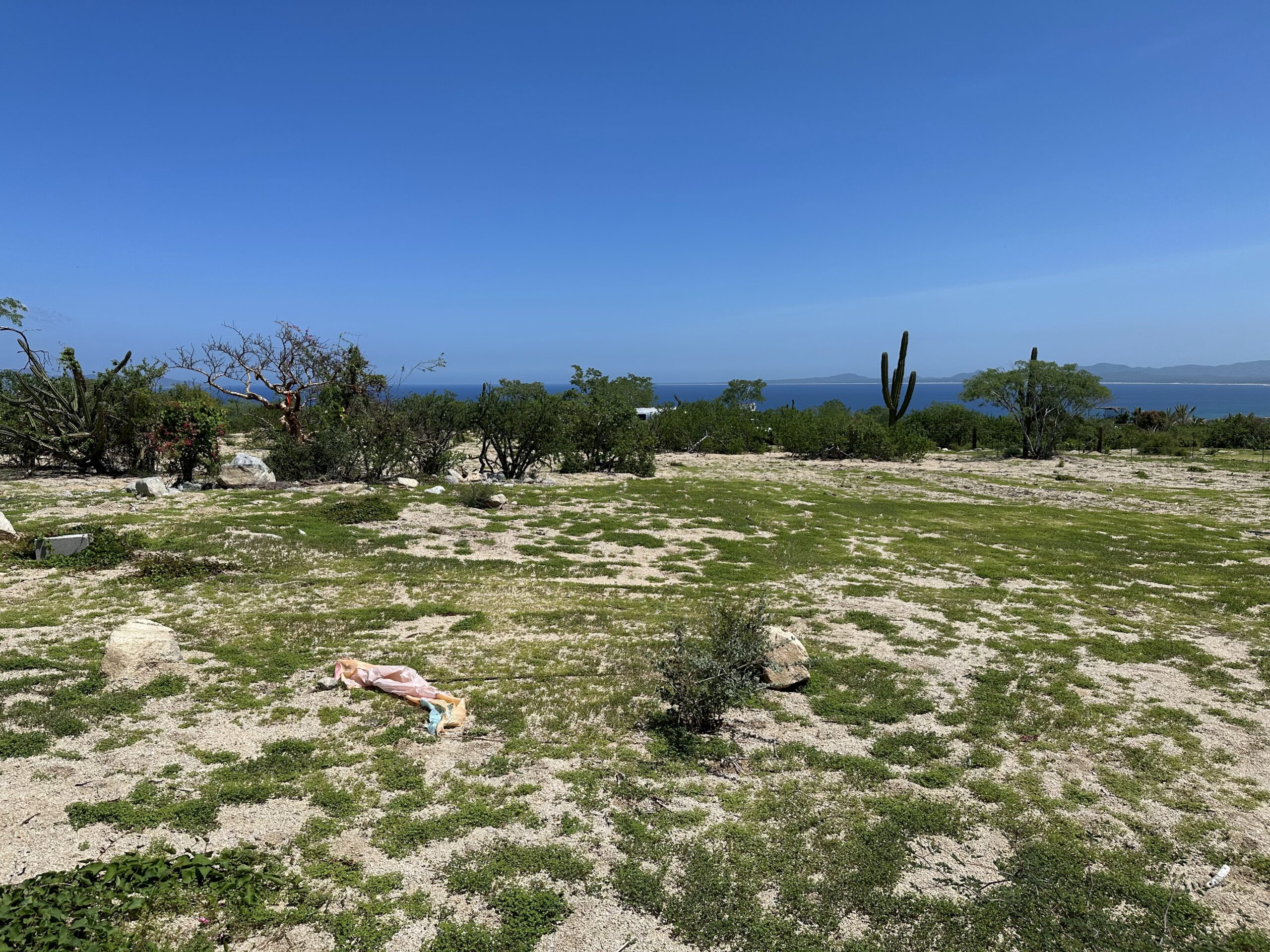 So Lush! – calle sin nombre